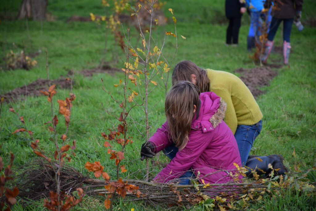 Memorial forest with over two thousand trees planted in Flanders