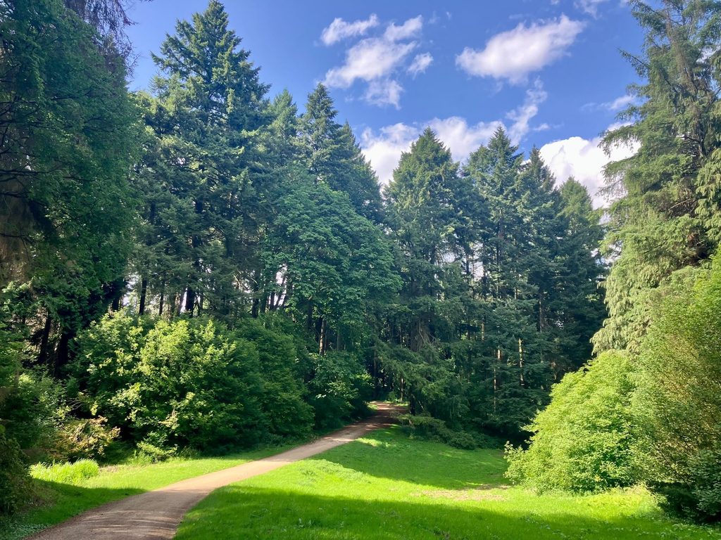 The inspiring beauty of the Tervuren Arboretum (in pictures)
