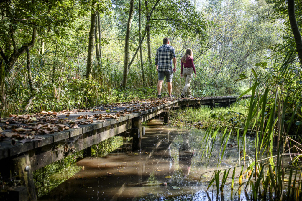 Promoted | Best foot forward in Flemish Brabant: 12 walks to get to ...